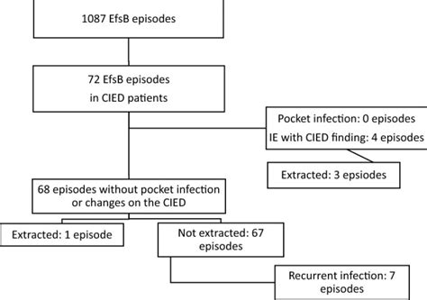 Enterococcus Faecalis Bacteremia Cardiac Implantable Electronic Device Extraction And The