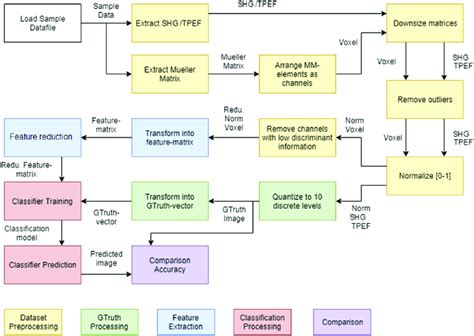 Block Diagram Of An Algorithm To Detect And Classify Collagenelastin Download Scientific