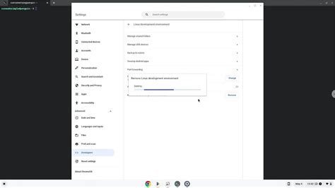 How To Remove The Linux Container On A Chromebook