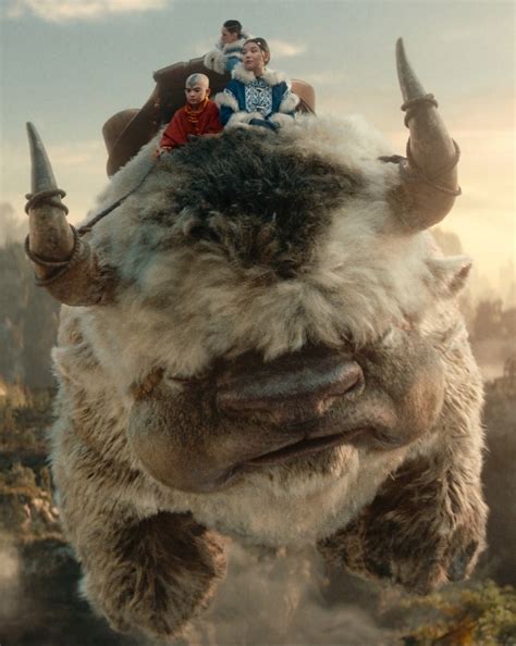 Appa Netflix Heroes Wiki Fandom