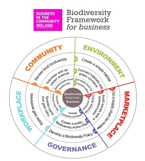 Our New Biodiversity Framework Economy Gdp
