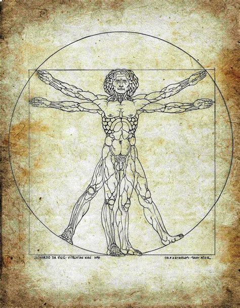 Leonardo Da Vinci Drawing Of Man Leonardo Da Vinci Vitruvian Man