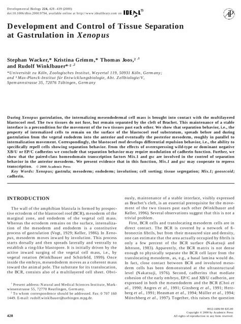 Pdf Development And Control Of Tissue Separation At Gastrulation In