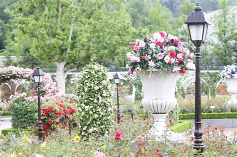 비가 와서 즐거운 에버랜드