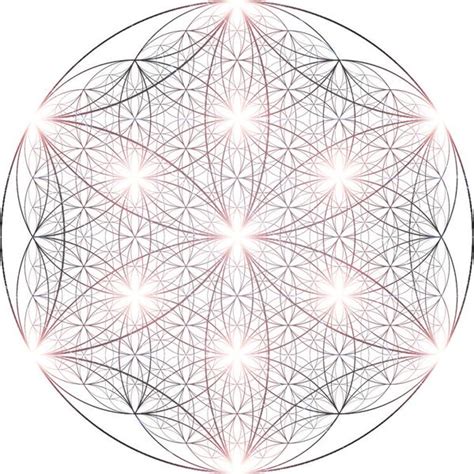 1000 Images About Sacred Geometry Golden Ratio Fibonacci Sequence On Pinterest Sacred