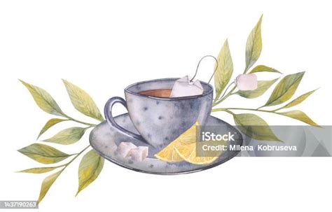 수채화 그림 차 한잔 흰색 배경에 격리된 손으로 그린 카드 패키지 디자인 조리 기구를 위한 차 수채화 그림 구도에 대한 스톡 벡터 아트 및 기타 이미지 Istock