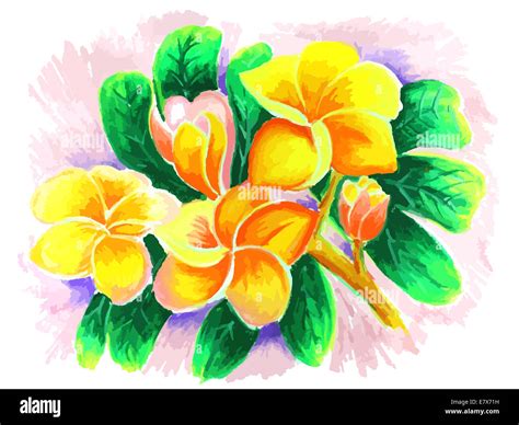 Desert Rose Drawing At Callum Winter Irving Blog