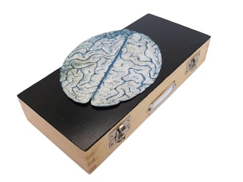 Neuropathology Brain Microscope Slide Box T For Etsy