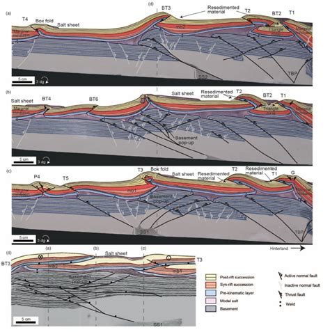 Interpreted Representative Cross Sections A C Through The Central