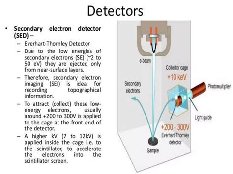 Scanning Electron Microscopy Pptx Physics Science