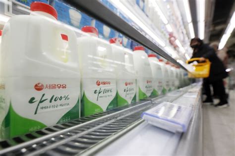 서울우유 노조 조합원 찬반투표 가결 우유대란 피했다 파이낸셜뉴스