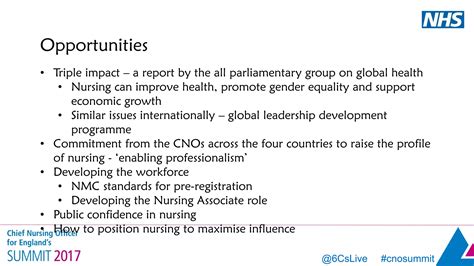 Emerging Nursing Excellence Framework Ppt