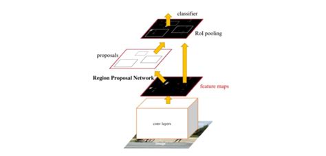 faster r cnn model architecture [11] download scientific diagram