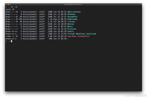 Linux 常用命令 Ls L 输出信息详解 选项组合示例 Csdn博客