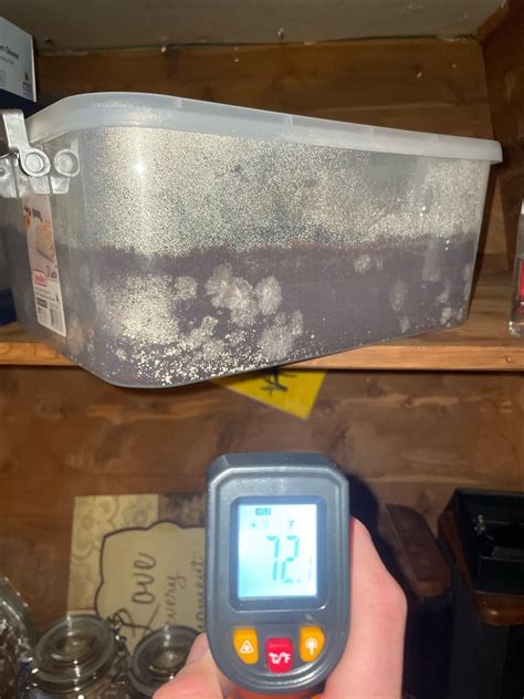 Slow Mycelium Growth In Tub R Unclebens