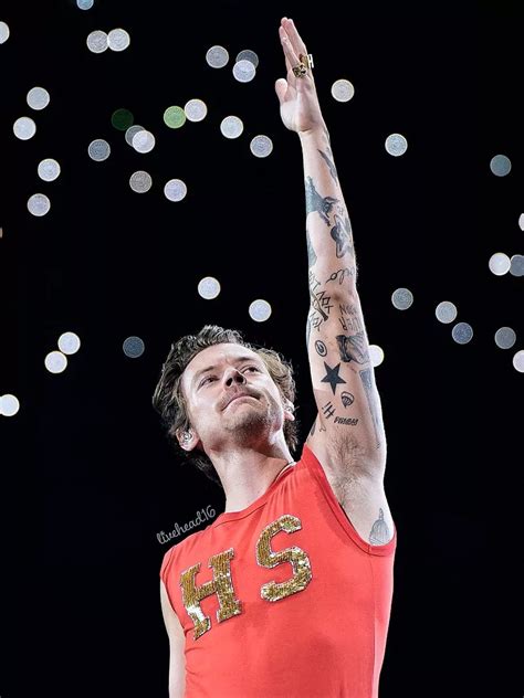 The Best Harry Styles Shirtless Gallery Sashay Magazine