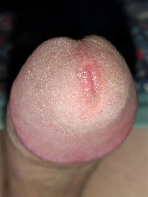 My Head 4 Pics XHamster