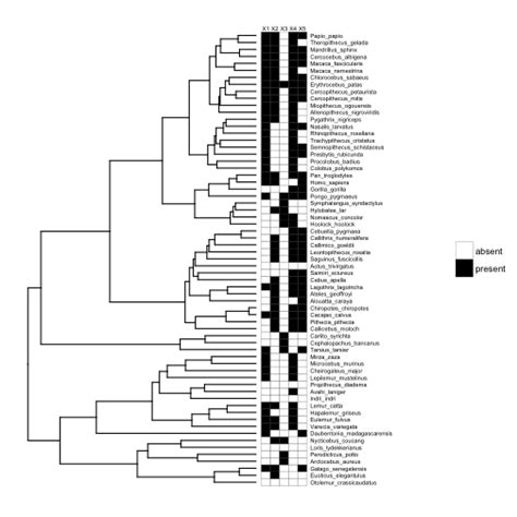 Plot Of Chunk Post Ggtree Tips