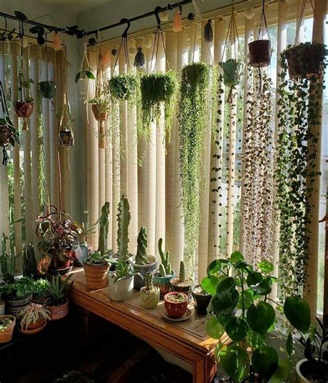 Pin By With Teeth On Decor Ideas Hanging Plants Room With Plants