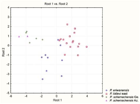 Two Dimensional Scatterplot Of Samples Of Males Of The Steppe Vipers In