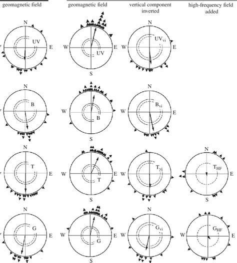 Orientation By The Inclination Compass Under Low Intensity Download Scientific Diagram