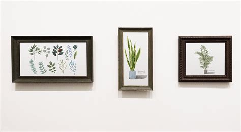 სურათის ჩარჩოს შერჩევის მეთოდები