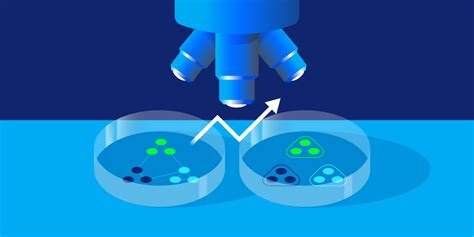 identifying the unknown with clustering metrics toptal®