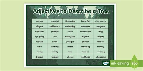 adjectives to describe a tree word mat teacher made