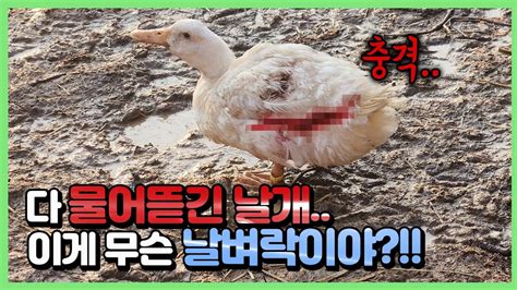 대체 이게 무슨 일이죠 Youtube