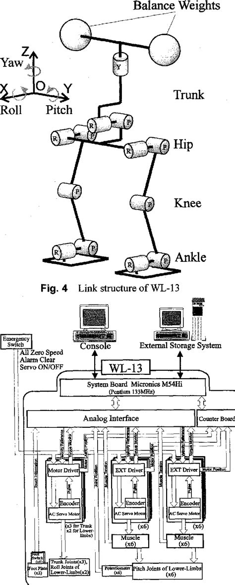 Figure 6 From Development Of A Biped Walking Robot Having Antagonistic Driven Joints Using