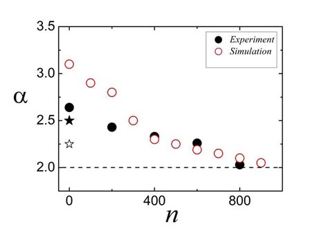 Translocation Exponent α As A Function Of N For Both Experiments Solid