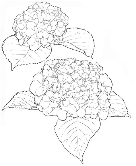 花瓣灵感详情页 花瓣网