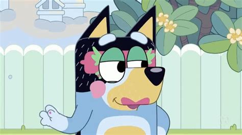 Does Bandit Look Good In Makeup Rbluey