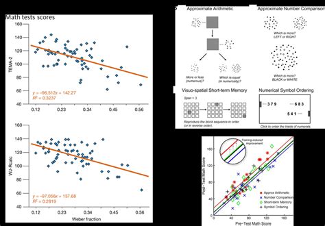 8 Relation Between Approximate Number Sense Acuity And Symbolic Math
