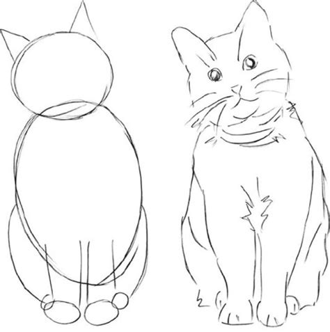 Cat Art Drawing Simple And Realistic Cat Sketches