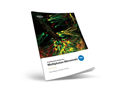 E Book Multiphoton Microscopy Bruker