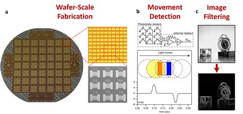 Electrostatically Doped Silicon Photodiodes Perform Optoelectronic In