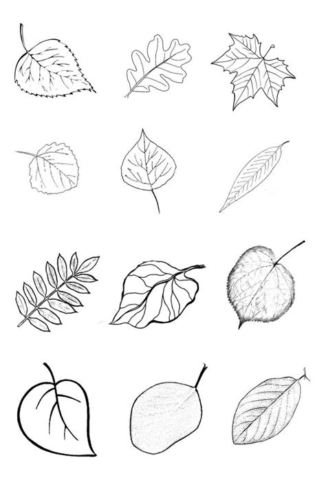 Как нарисовать листья основные техники мастер классы 40 фото идей с описанием