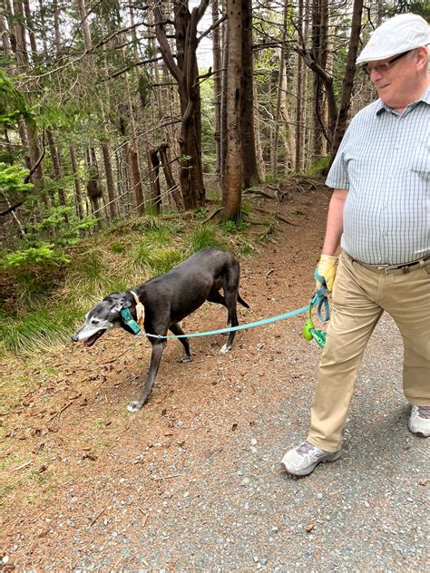 Denise Lear Denise Lear Added A New Photo