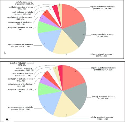 A Histogram Of Gene Ontology Classification Wego Plot High Oil