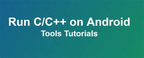 Quiz Loops For While Do While Break Continue In C Programming
