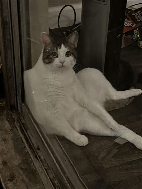 Oc Mr Beans Trying To Block Me From Coming Back In Through The