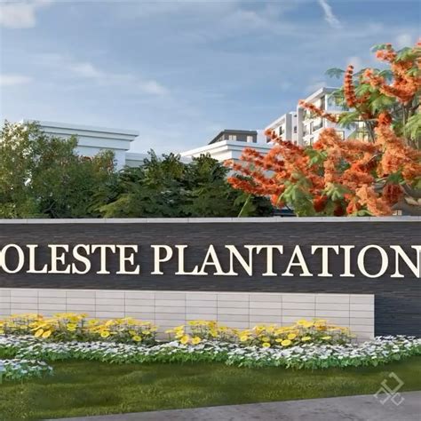 Ariam Spacios Ariamspacios • Instagram Photos And Videos