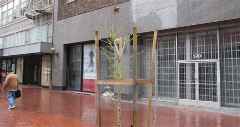 The Empty Storefronts Of Downtown San Francisco California Globe
