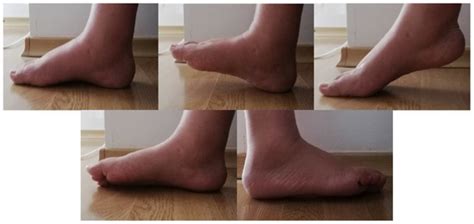 Actuators Special Issue Advanced Robots Design Control And Application—2nd Edition