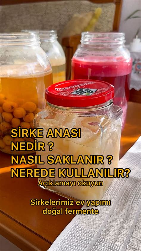 Ev Yapımı Sirke Doğal Bal 🌱🍏🌺🍯🌲 AliÇ Sİrkesİ Nasil Yapilir Sirke Yapımını Sirkeciden