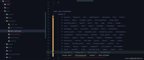 【mmdetection框架解读】入门篇三、voc数据集转coco数据集，在mmdetection中成功运行 Csdn博客