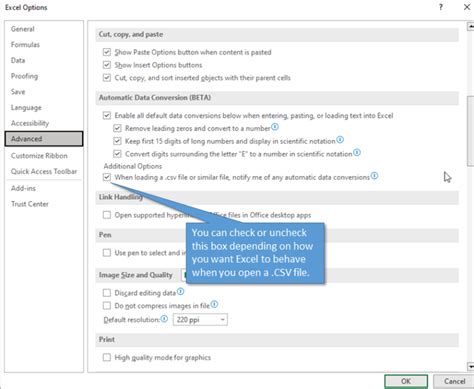 New Excel Feature Automatic Data Conversion For Numbers Excel Campus