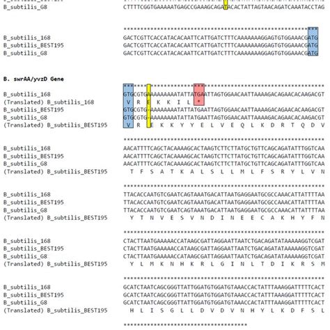 Multiple Sequence Alignment Of Genes Regulating γ Pga Production Download Scientific Diagram