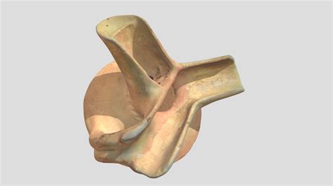 Tsu Scan Pottery Clay 3d Model By Innotechclub [52a3995] Sketchfab